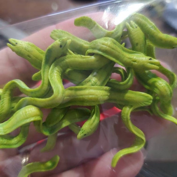 Set of Miniature Buffalo - Mini Buffalo - Bison - Terrarium Supplies ...