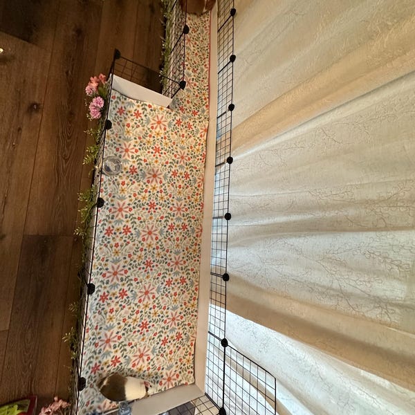 Guinea Pig Fleece Cage Liners - Etsy