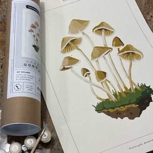 Mushroom Botanical Modern Paint by Numbers Kit - Etsy