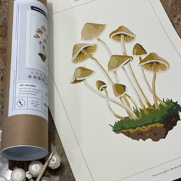 Mushroom Botanical | Modern Paint by Numbers Kit - Etsy
