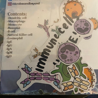 Cute Cells and Organelles Sticker Set - Etsy