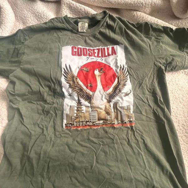 You Got This Motivation Comfort T-shirt, It’s Test Day Tee, State ...