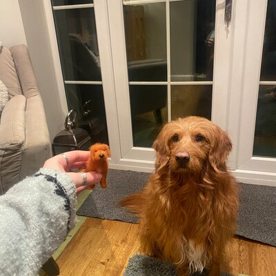 Woolly Bunny Bookmark Needle Felt Felted Handmade Wool Rabbit Book ...