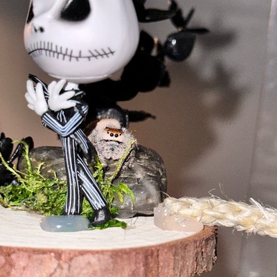 Jumping Spider Care Sheet, Printable Spider Tracker, Pet Breeding ...