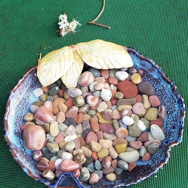 4lbs (1”) Rainbow River Rocks Colorful Montana Beach Stones • Natural ...