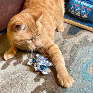 Pittsburgh Cat Toy Cell Phone | Etsy