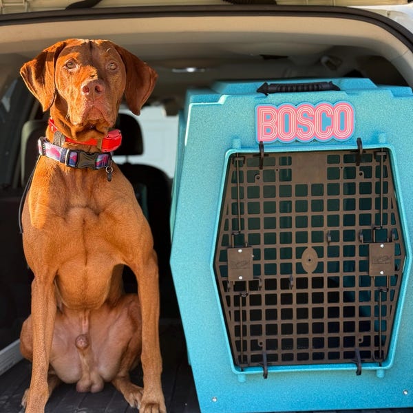 Swirl Personalized Pet Crate Tag, Calligraphic Kennel Name Plate, Art ...