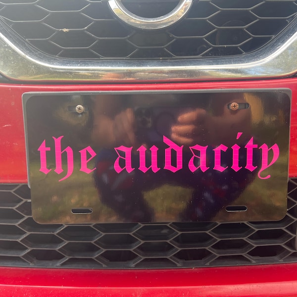 The Audacity Front License Plate for Car, Funny Vanity Plate, Black ...
