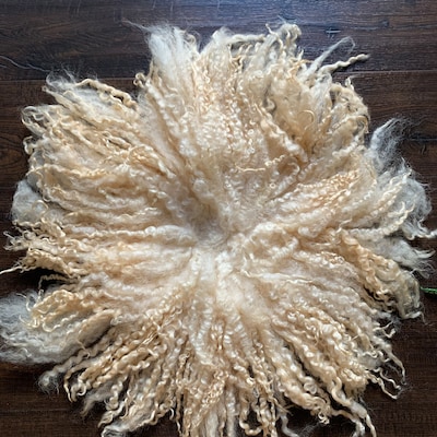 Newborn Layering Blanket, Photo Prop Curly Wool Layer, Round Fluffy ...