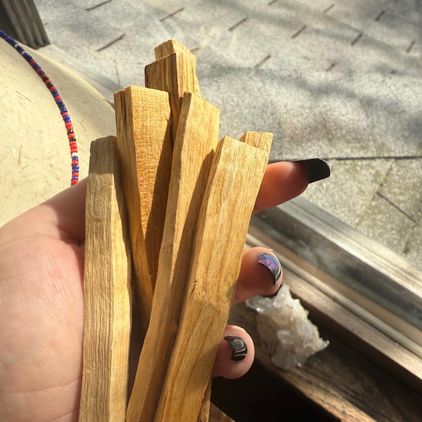 Osha Root - Wild Harvested Fresh Organic Herbs - Etsy