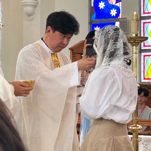 St. Catherine of Siena Infinity Veil Mantilla Chapel Veil for Latin ...