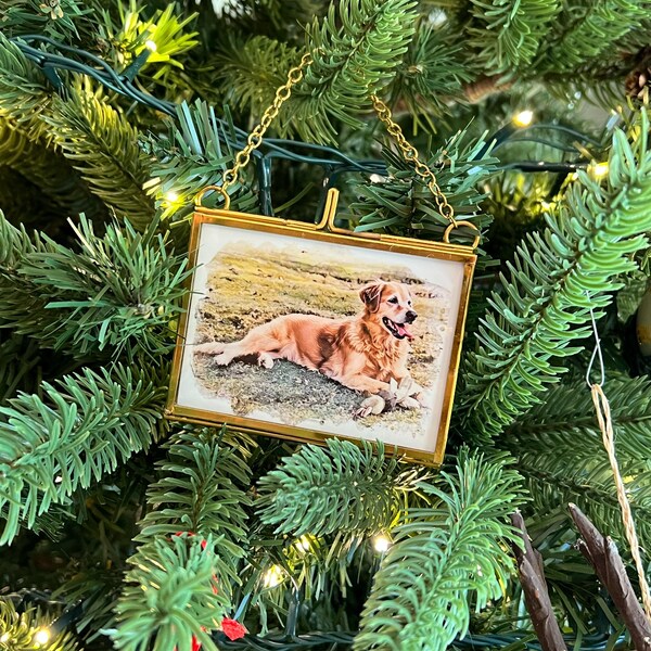 Please Do Not Disturb Door Sign, Conference Call Sign, Video Call Sign ...