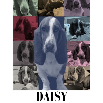 Solar Eclipse SVG Solar Eclipse PNG Total Eclipse I Got Mooned Humorous ...