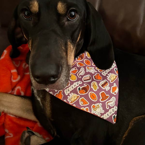 Fall Dog Bandanas/ Fall Bandana/ Over the Collar Bandana/ Autumn ...