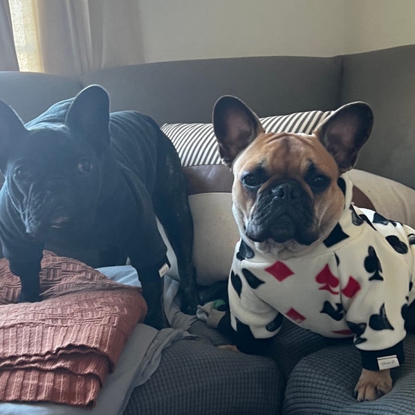 French Bulldog, French Bulldog Clothes, French Bulldog Shirt, French ...