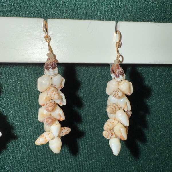 Kahelelani Shell Necklace Rare Shells Shell Lei Kauai Shells Hawaiian ...