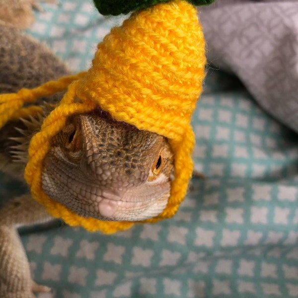 Tiny Reptile Hat, Hat for Hamster, Small Lizard Hat, Clothes for Pets ...