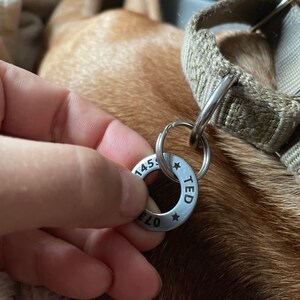 Funky Design Pet Dog ID Disc Tag. Stainless Steel Washer - Etsy UK