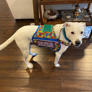 Personal Healthcare Companion Patch - Etsy