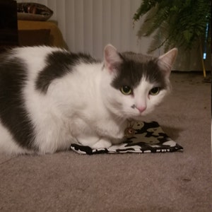 Refillable Catnip Cat Mat | Etsy