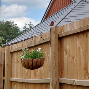 Rusty Metal T-rex Dinosaur Fence Post Topper Garden | Etsy