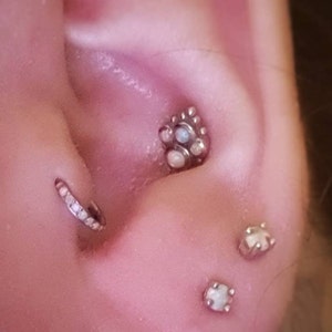 Medical Grade Titanium Ball Closed Ring Hoop Earring for Conch - Etsy UK