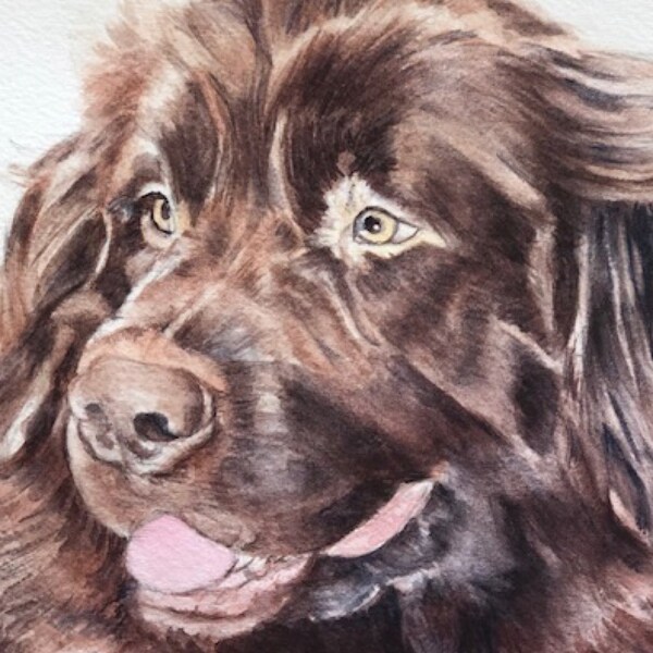 DOG POTRAITS, CUSTOM Dog Drawings, Hand Drawn and Painted Samples - Etsy