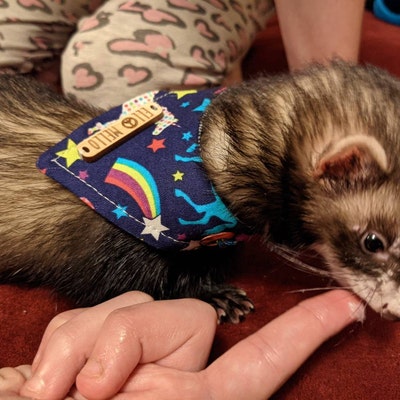 Sea Breeze Ferret Bandana Ferret Scarf Ferret Accessories - Etsy