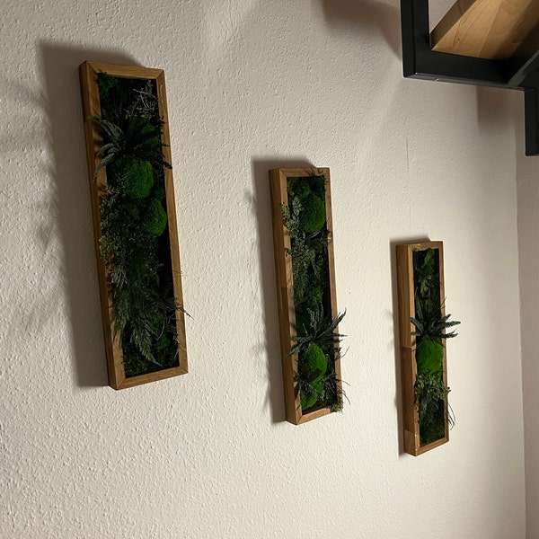 Moss Picture Ball Moss Solid Wood Frame Oiled Oak Moss Landscape - Etsy