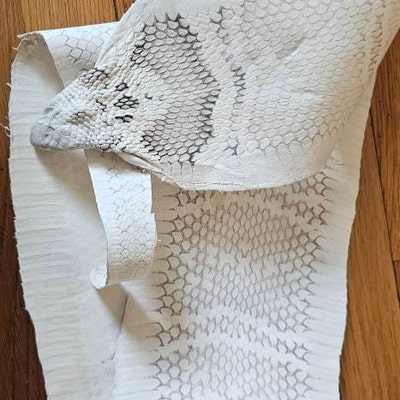 Elaphe Carinata Snake Skin Hide Leather Snakeskin Gunmetal Garment ...