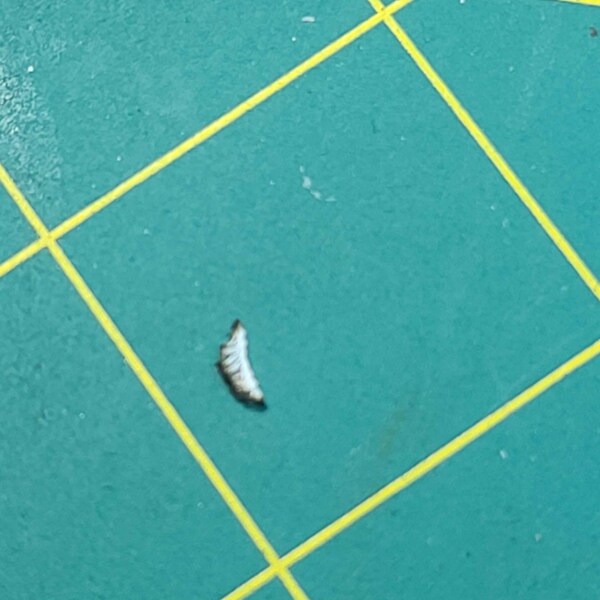 Vintage Lettuce Edge, 1/4”, Ruffle Edge, Pink, Rayon, Made in France - Etsy