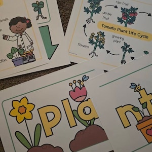 Food Chains Foldable Activity for Kids A4 and 11x8.5 Inch Digital ...