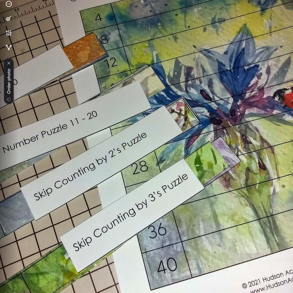 Animals Counting Puzzle, Numbers and Counting, Forest Schooling, Skip ...