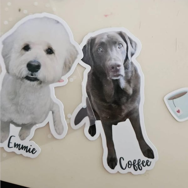 Custom Pet Sticker, Die Cut Vinyl Waterproof, Personalized Gift, Custom ...