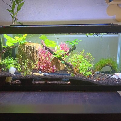 Aquarium Naval Floating Mine - Etsy