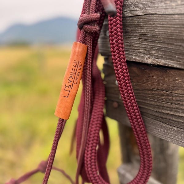 Custom Halter and Mecate Rein Set, Custom Mecate Reins, Mecate Training ...