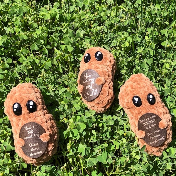 Native Potato Tags/potato Pun Patches/set of 8/ready to Ship/crochet ...