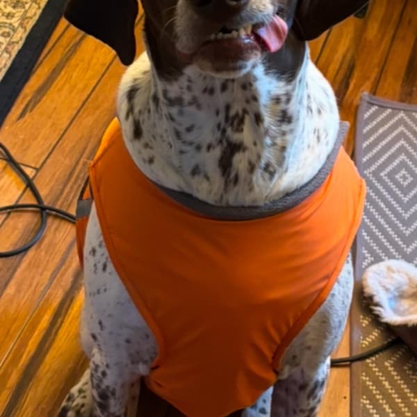 Great Dane Extra Warm Winter Dog Coat Dog Jacket With Underbelly ...