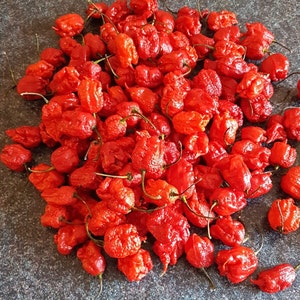 Trinidad Moruga Scorpion Pepper Dried Pods 15 Pods - Etsy