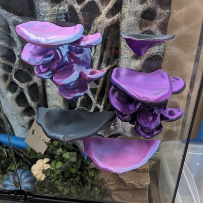 Frog and Gecko Hanging Mushroom Platform - Etsy