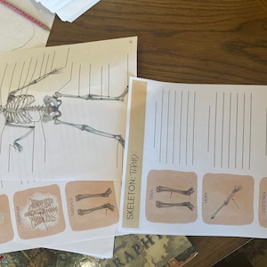 CC Essentials Number Knockout Board Slam Boards for Math Review - Etsy