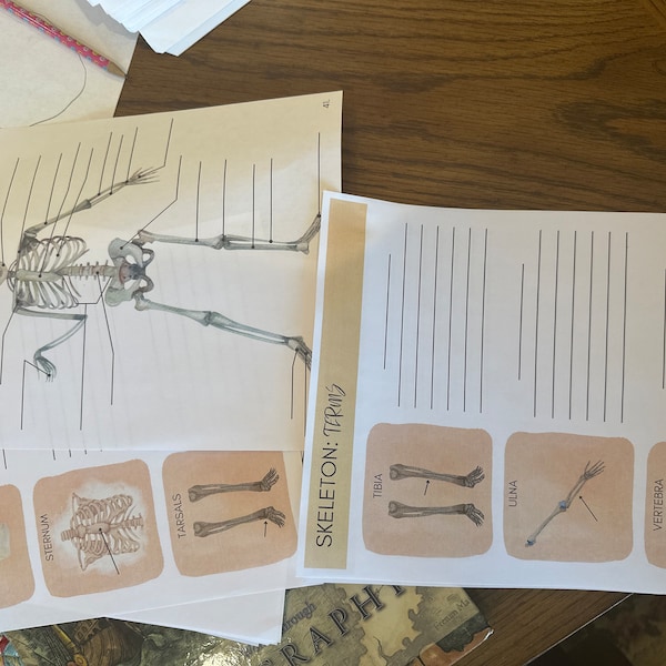 CC Essentials Number Knockout Board Slam Boards for Math Review - Etsy