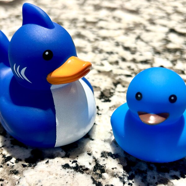 Pumpkin Rubber Duck/fun Gift/you've Been Ducked/party Favor/halloween ...