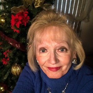 100 blushing Bride Silver Rose Strawflower Seeds - Etsy