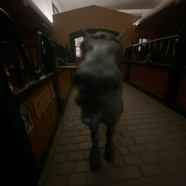 Skeleton Butler Miniature for Table Top Games : Resin 3D Printed Model ...