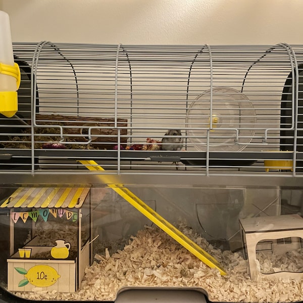 Hamster Tunnel/ Hamster Cave Hideout/ Chamber Rooms/ Hamster Digging ...