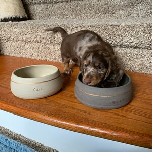 Ceramic Dog Bowls Set With Jute Pet Rug. Modern Pet Bowls With - Etsy