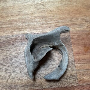 Shark Tooth Keychain Shark Tooth Keyring Tiger Shark Tooth - Etsy