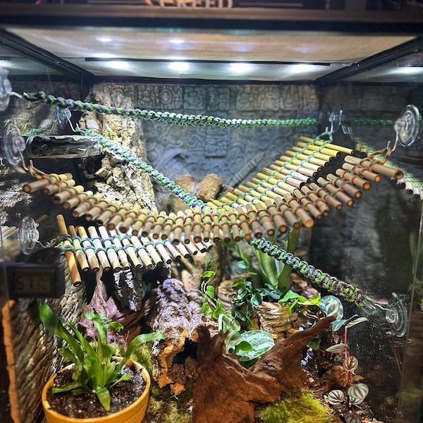 Bamboo Bridge- 4" Width - (perfect for Crested Geckos, Leopard Geckos ...