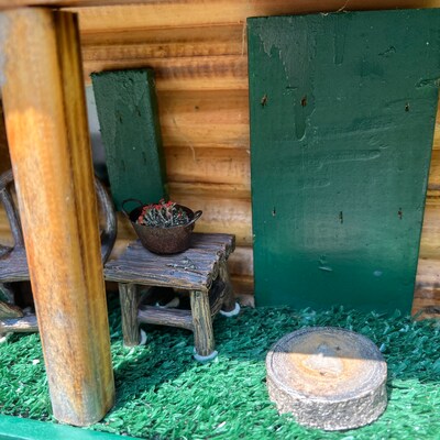 2 Pack Pixie Cup Live Lichen Moss for Terrariums Fairy Gardens - Etsy